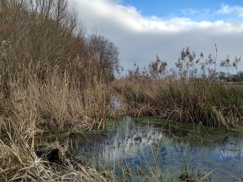 Call for moratorium on major developments on Gwent Levels | Gwent ...