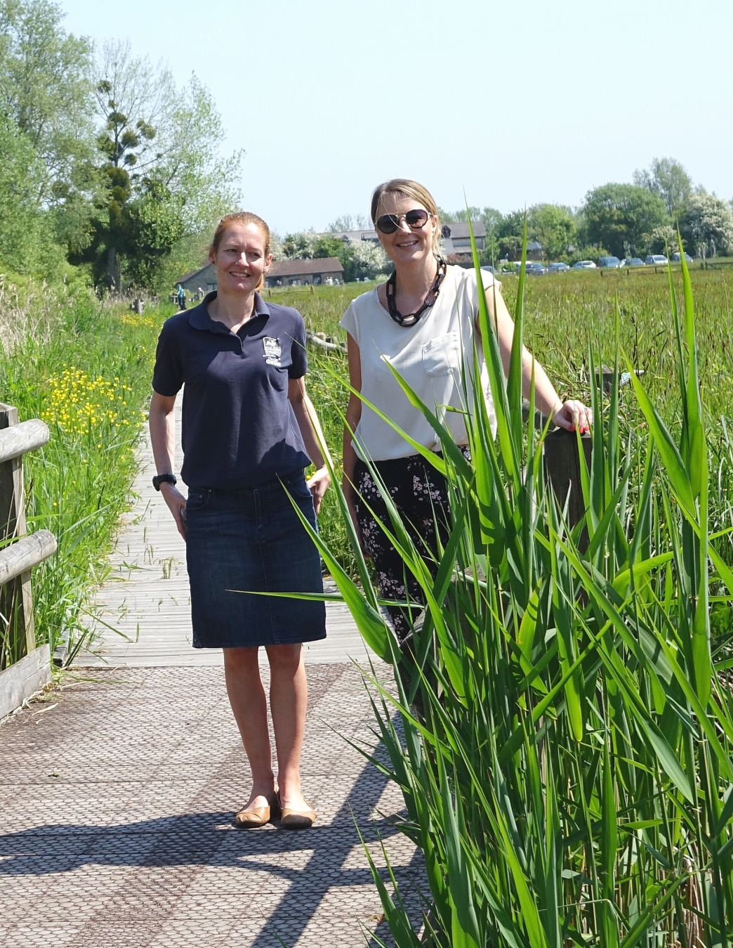 Our campaign against the M4 motorway | Gwent Wildlife Trust