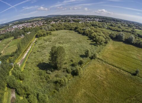 Home | Gwent Wildlife Trust