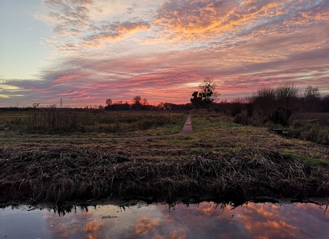 Home | Gwent Wildlife Trust